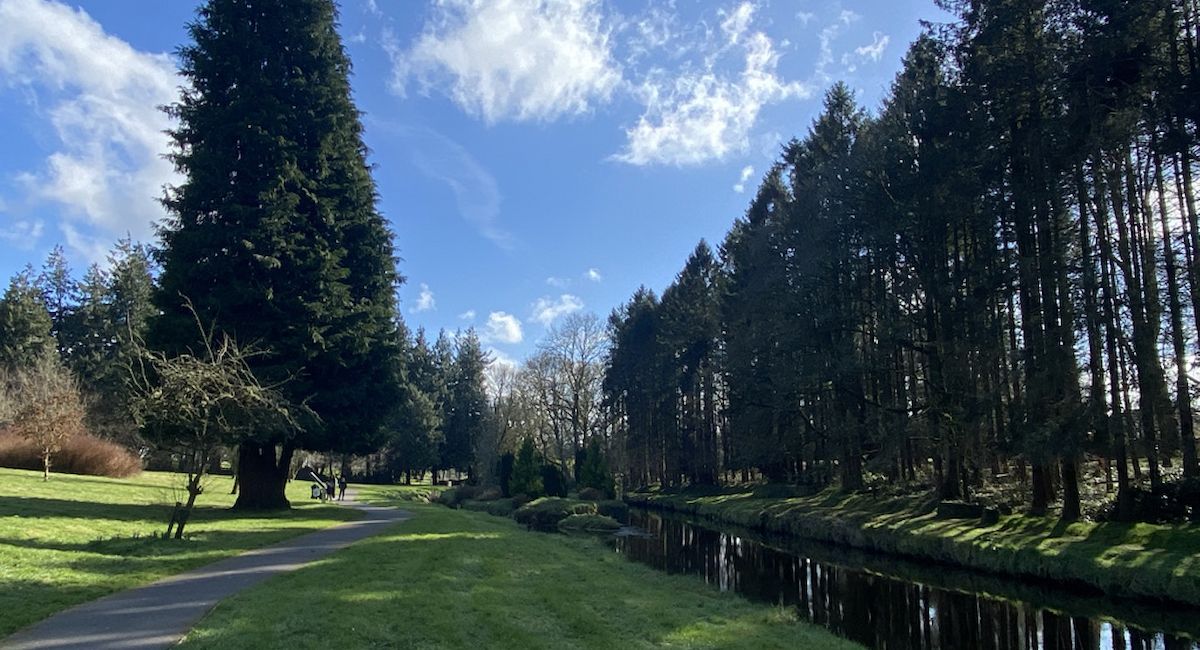 Castlerea Demesne Trail