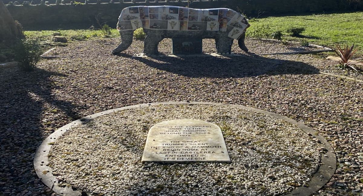 The Elephant's Graveyard