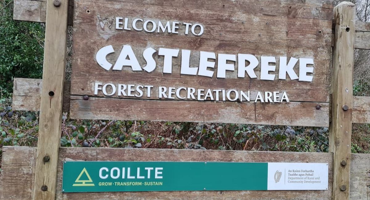 Castlefreke Woods Short Loop Walk