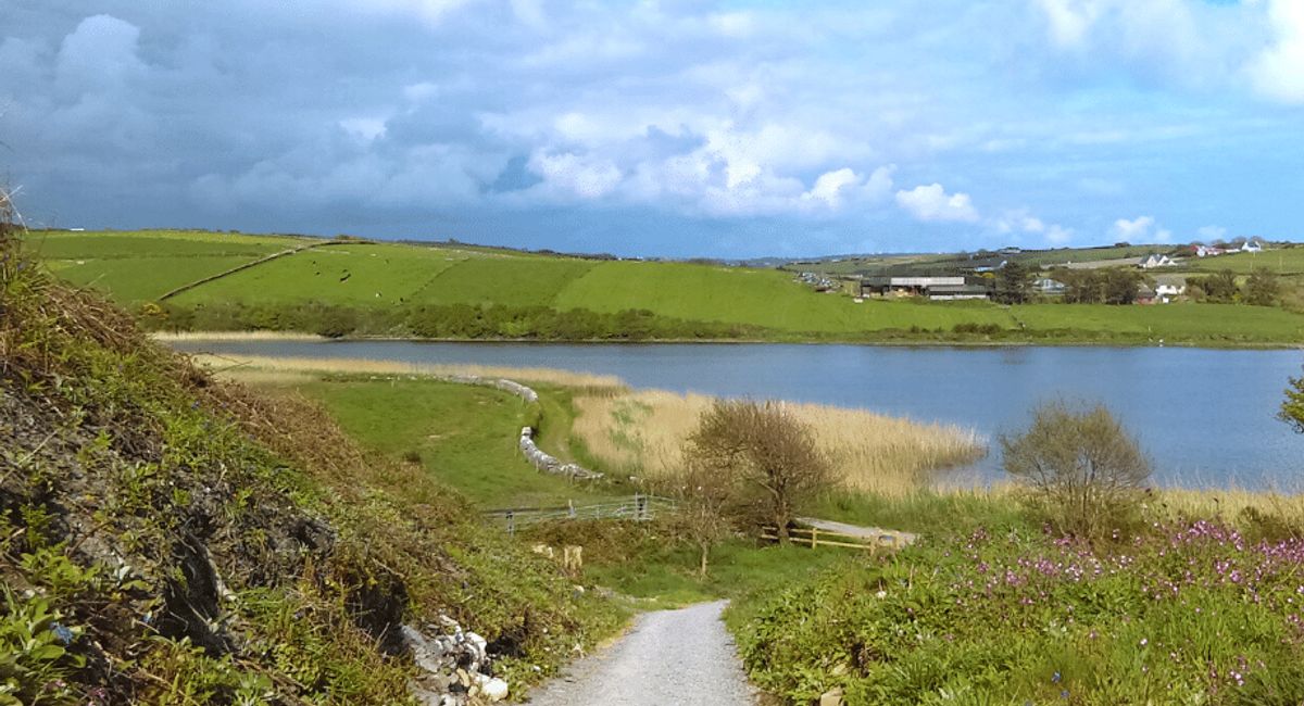 Castlefreke Long Walk (Rathbarry, Kilkern Lake, Long Strand, Lord ...