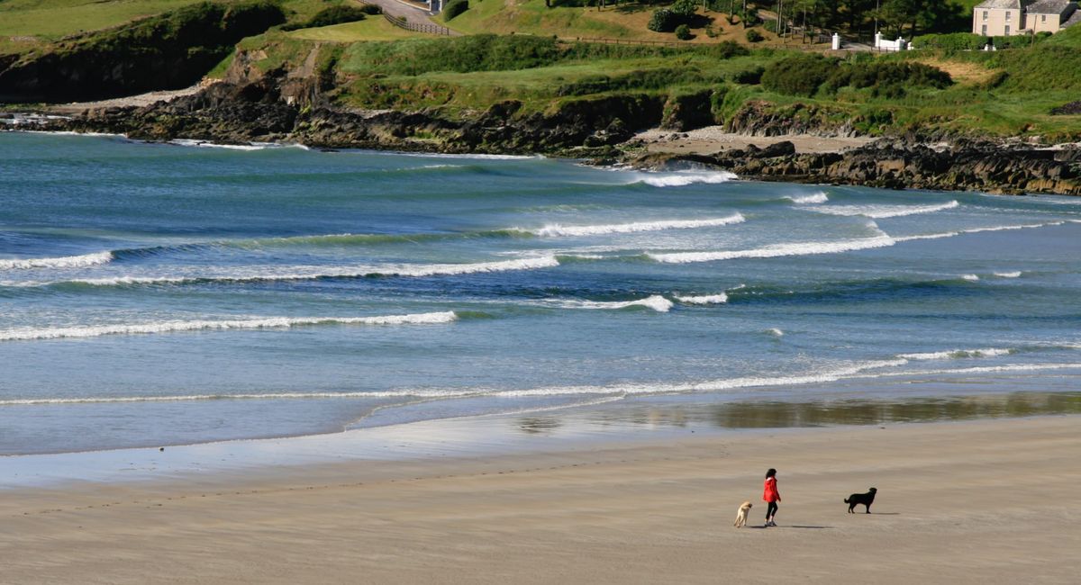 10 Best Things to See & Do in Clonakilty This Summer